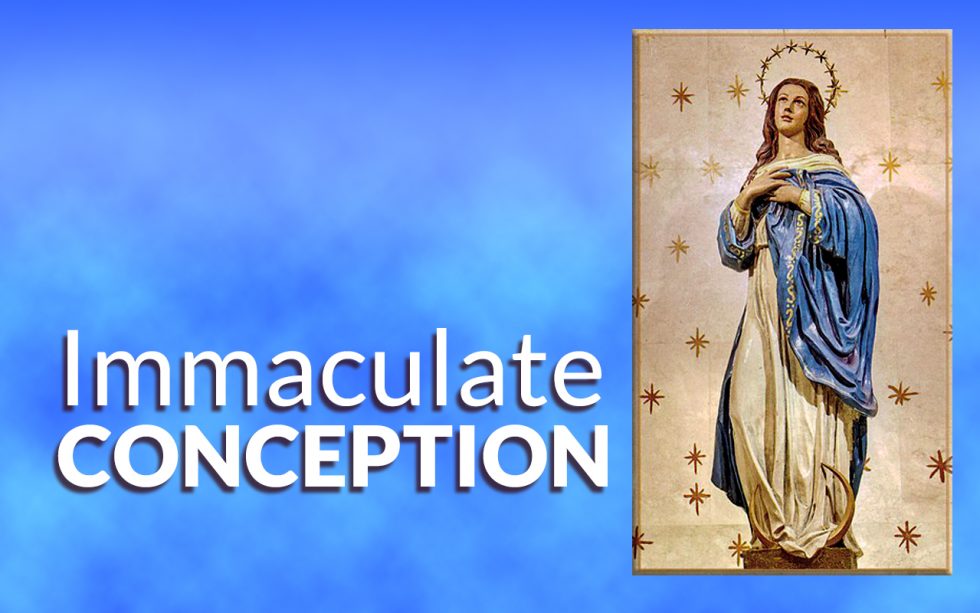 Novena to the Immaculate Conception | FaithWatch